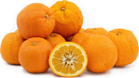 Seville Bitter Orange A Complete Culinary Guide 55 Off