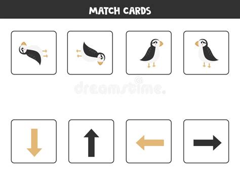 Left Right Up Or Down Spatial Orientation With Cute Puffin Stock