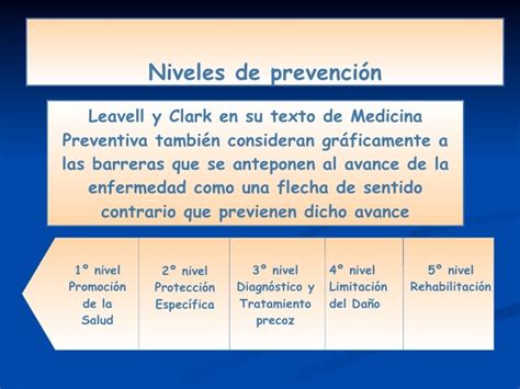 Salud Publica Niveles De Prevencion Asistencia Sanitaria Preventiva