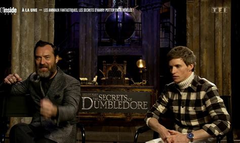 À La Une Les Animaux Fantastiques Les Secrets Dalbus Dumbledore