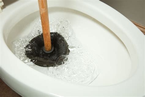 9 Types Of Toilet Flush Systems In Detail Comparison