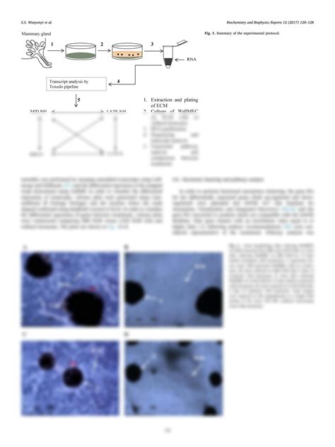Solution Transcriptome Analysis Of Mammary Epithelial Cell Gene