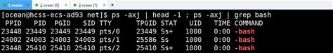 永不休眠：linux 守护进程的工作原理 csdn博客