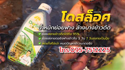 ປຸ໋ຍໂອທູເອເວີເຣ ປຸ໋ຍໂອທູເອເວີເຣສໂຕຊ່ວຍເພີ່ມຜົນຜະລິດຍຸກໃໝ່