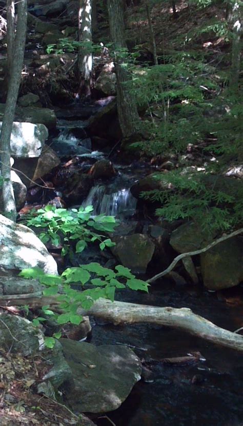 Spring Fed Stream On Ridge Trail Park Ranger Sacred Places State Parks