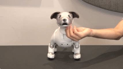 Aibo Visual Programming Guide Robotic Gizmos