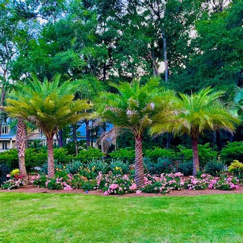 Sweetgrass Landscaping Llc Okatie Sc
