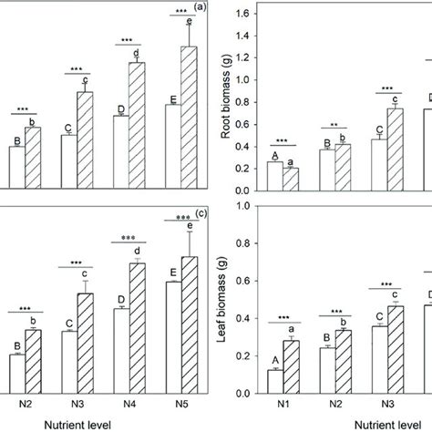 Total Biomass A Root Biomass B Stolon Biomass C And Leaf