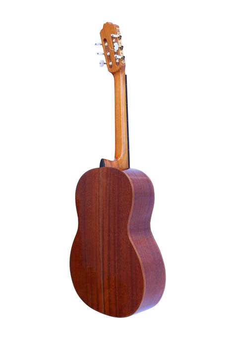 Fretless Guitar Sala Muzik