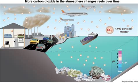 Coral Reefs And Climate Change How Does Climate Change Affect Coral