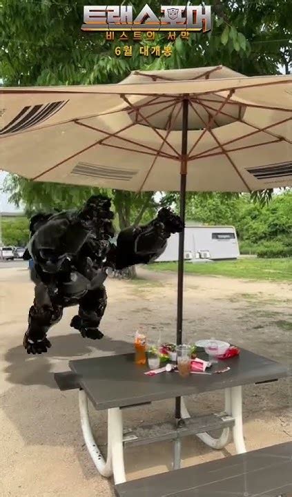 [트랜스포머 비스트의 서막] 환경 보호에 진심인 옵티머스프라이멀 Youtube