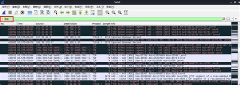 网络安全kali渗透学习 Web渗透入门 Wireshark抓包及常用协议分析kali Wireshark抓包 Csdn博客