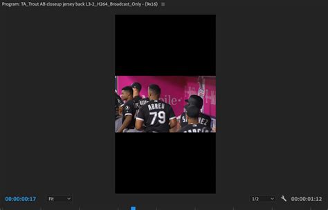 Auto Reframe Problem Adobe Product Community 10737364