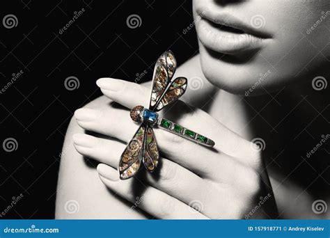Beauty And Jewelry Stock Image Image Of Care Copy 157918771