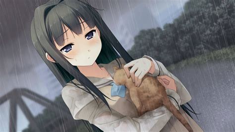 Download Anime Girl Holding Cat Nightcore Wallpaper