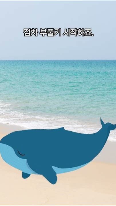 해변에서 죽은 고래를 보면 무조건 도망가야 합니다 Shorts Youtube