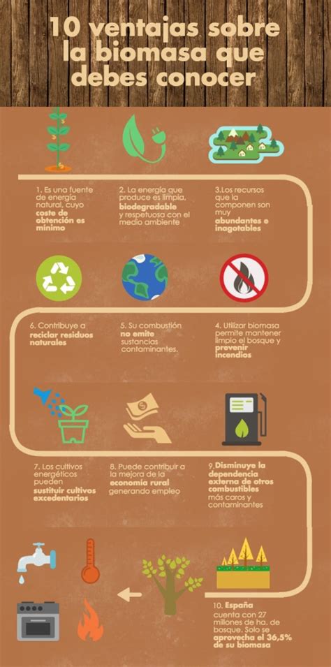 10 Ventajas Sobre La Biomasa Que Debes Conocer Aefecc Asociación
