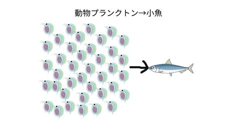 ロイロノート・スクール サポート 高1 理科 生物濃縮 生態系のバランスと保全【授業案】島田樟誠高等学校 近藤正