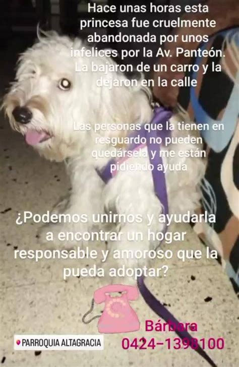 John K Mulder on Twitter RT PerroUsuario ATENCIÓN RT Ma Elisa G