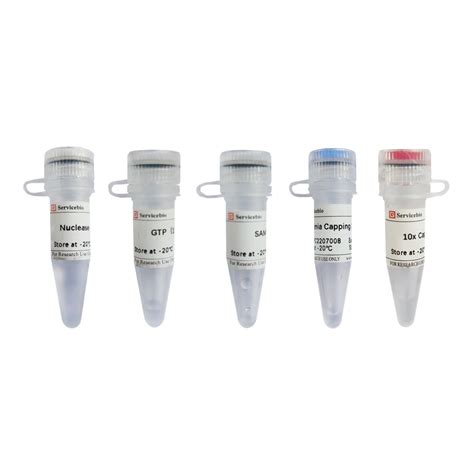 Vaccinia Capping Enzyme 500 U For Mrna Synthesis Related Enzymes