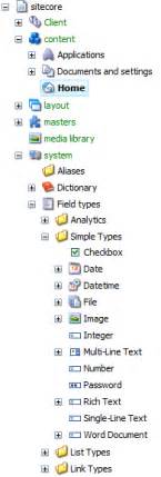 Apply Sitecore Validation Rule To A Field Type Stack Overflow