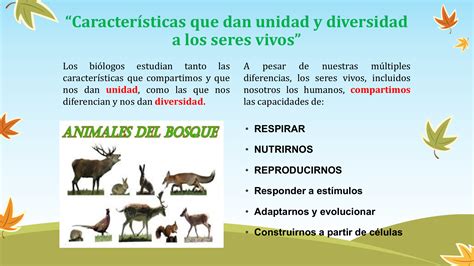 Características de los seres vivos