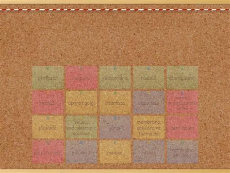 Organite Celulare Find The Match