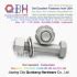 Qbh ASTM F3125 F3125m Steel Structural Carbon Steel Hex Bolt China