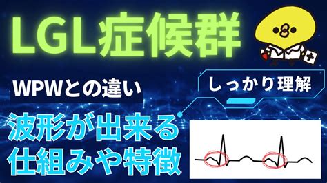 【心電図の読み方】lgl症候群とは？波形の見方やwpwとの違いを詳しく解説 臨床検査技師が教える病気と健康の相談所