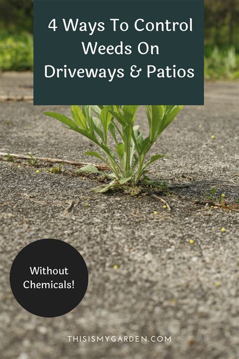 How To Kill Weeds In Driveways Sidewalks Without Chemicals Artofit