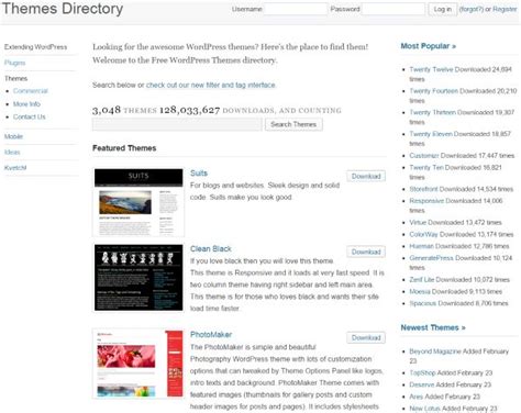 Everything You Need To Know About Changing WordPress Themes Wordpress