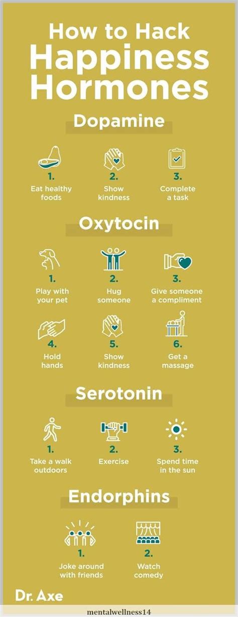 Myelinated Neurons Nenetheneuron Neuron Comics Neurons Nene