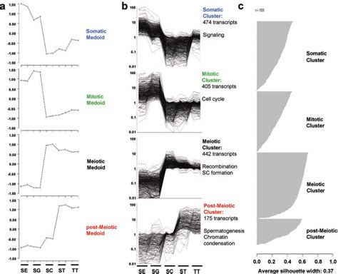 Pam Clustering Of 1508 Probe Sets A Medoids Representing The Four