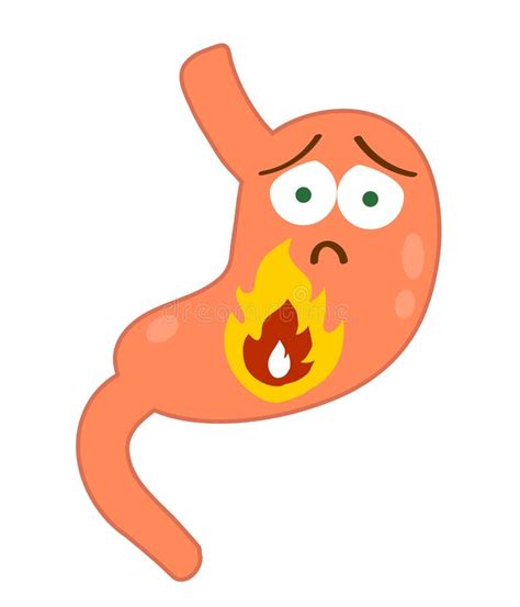 3d Stomach On White Background 3d Render Stock Illustration