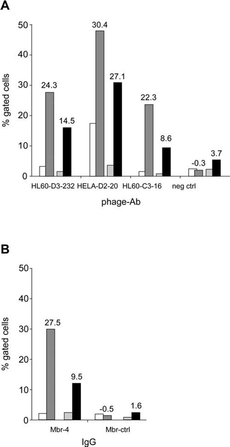 Binding Specificity Of Selected Clones Binding Of Phage Ab