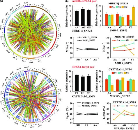 Epistatic Interactions For 10 Growth And Wood Property Traits Of