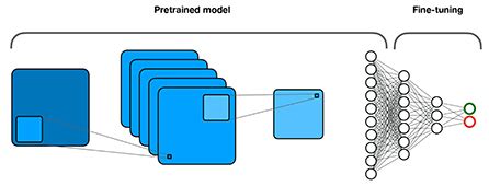 Frontiers Deep Learning In Neuroimaging Data Analysis Applications