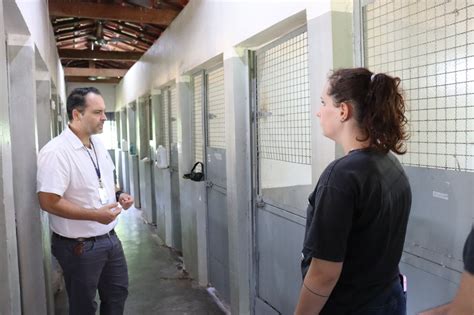 Unifipa E Centro De Zoonoses Desenvolvem Projeto Sobre Esporotricose