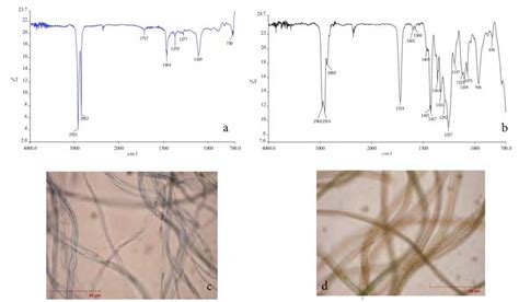 A Ftir Spectra Of Pe Obtained From The Body Of Doll A B