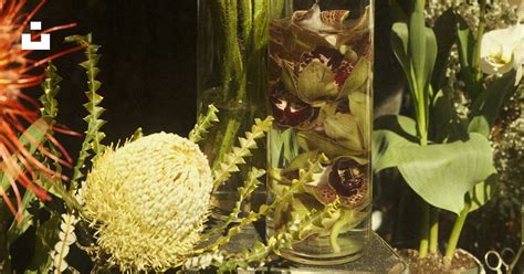 밝고 화려한 꽃이 창문에 장식되어 있습니다 사진 Unsplash의 무료 꽃 이미지