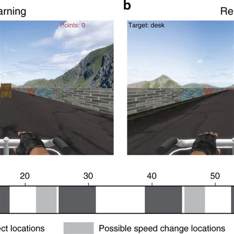 Spatial Memory Task A Task Screen Image During A Learning Trial Where