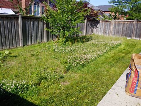 Step N Stone Sodding And Grading