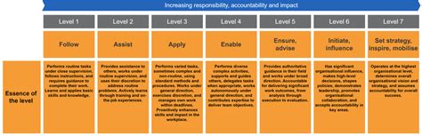 How Sfia Works Levels Of Responsibility And Skills — English