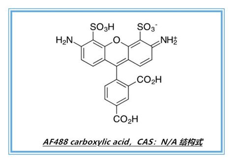 亮绿色荧光染料：af488 Acid，alexa Fluor488 Cooh，通常用于显微镜和细胞分析 哔哩哔哩