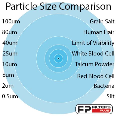 Mesh And Micron Sizes Chart ISM 43 OFF