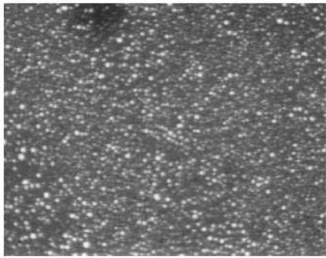 Microstructure Of A Modified Binder With Bitumen Matrix