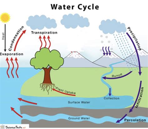 The Hydrosphere Flashcards Quizlet