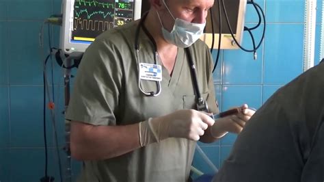 Киста почки у собаки Аспирация и склерозирование содержимого под контролем УЗИ Youtube