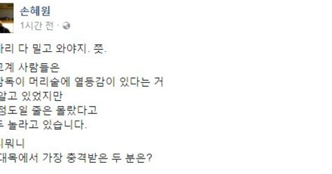 손혜원 차은택 외모비하 지적에 가발까지 벗겨야 되나 마음 아팠다