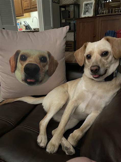 Double Blop Rblop